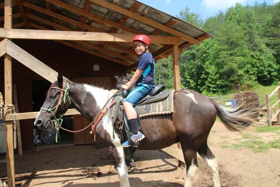 Local Recommendations - Blue Ridge Inn Bed & Breakfast